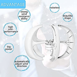 High Efficiency 3000W 12V/24V/48V Vertical Wind Turbine Generator Home Windmill Yacht Farm Lantern Wind Power Turbine Generator (White),24v