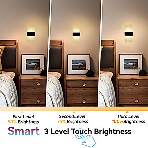 FelRelWel Rechargeable Wall Sconces,2 PCS Modern Acrylic Bedside LED Wall Lamps for Living Room Bedroom Hallway,USB Rechargeable Battery Operated Cordless Night Light,Touch Control,Warm Light Dimmable