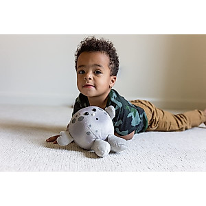 Celestial Buddies Moon Buddy Learning Science Astronomy Space Solar System Educational Plush Stuffed Planet Toy