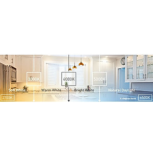 Ecosmart 8-Pack A19 - 60 Watt Equivalent Daylight (5000K) LED Light Bulb