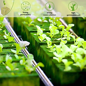 Halatool 1 Inch Rockwool Cubes Garden Stonewool Grow Cubes Starter Plugs for Hydroponics Soilless Cultivation Clone Plants Germination Start (4 Sheets of 200 Cubes)