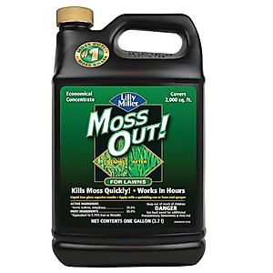 Lilly Miller Moss Out For Lawns Concentrate 1gal - 5601110