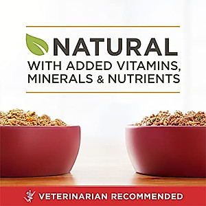 Purina ONE Classic Ground Chicken and Brown Rice, and Beef and Brown Rice Entrees Wet Dog Food Variety Pack - (Packs of 6) 13 oz. Cans