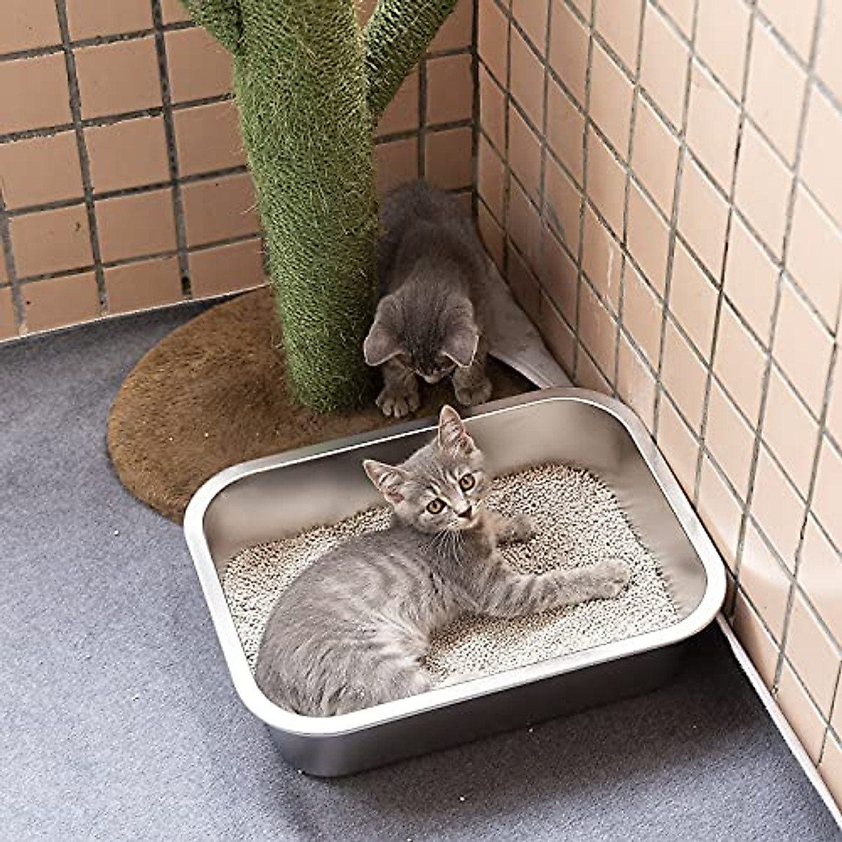 Yangbaga Stainless Steel Litter Box for Kittens, 4 in Height Easy Entry, Odor Control, Non Stick, Easy to Clean,Litter Box for Rabbits, Ferrets,Guinea Pigs and Hamsters (16'' x 12'' x 4'')