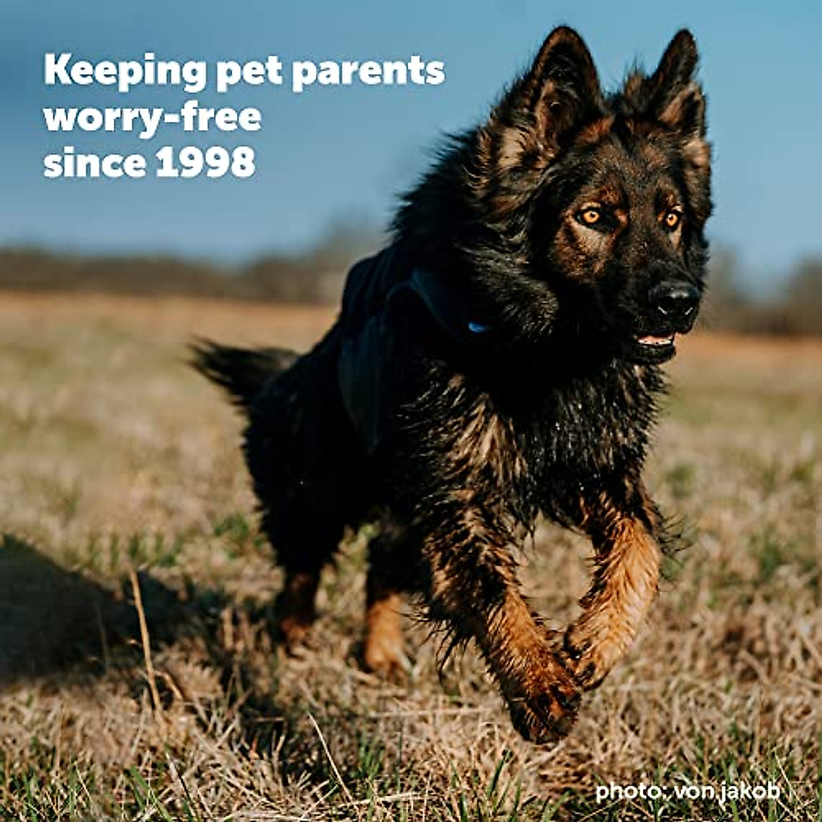 PetSafe YardMax Rechargeable In-Ground Pet Fence for Dogs and Cats – from the Parent Company of INVISIBLE FENCE Brand – Underground Pet Barrier, Multiple Wire Gauge&Indoor or Outdoor Barrier Options