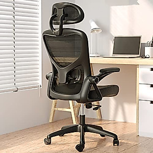 Ergonomic Mesh Office Chair with Adjustable Headrest & Lumbar Support, Flip-Up Armrest, Tilt Function for Heavy Duty, Black