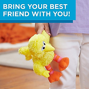 Sesame Street Mini Plush Big Bird Doll: 10-inch Big Bird Toy for Toddlers and Preschoolers, Toy for Kids 1 Year Old and Up