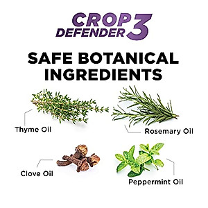 Grower's Ally Crop Defender 3 | Natural, Safe & Organic Insecticide & Fungicide Control for Plants - Powdery Mildew, Spider Mites & Russet Mite Killer – 24 oz Ready-to-Use, OMRI Listed