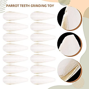 LEIFIDE 30 Packs Cuttlebone, Cuddle Bones for Birds 3.1-3.9 Inches Large Cuttlefish Bone Chew Toy Bird Bites Calcium Stone for Pets Reptile Tortoise Turtles Parakeet Cockatiels Reptiles and Snails