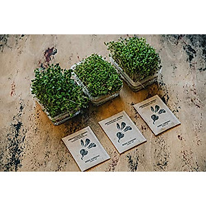 Self-Watering Microgreens Growing Kit - 3 Micro Greens from Organic Non-GMO Seeds - Window Garden or Counter Top - 3 Biodegradable Bamboo Seed Sprouting Pads + Microgreen Tray + Grow Guide