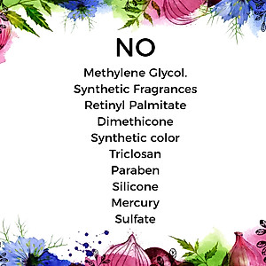 Onion Neem & Black Seed Oil Shampoo for Dull, Dry, Damaged Hair - Reduces Hair Fall, Breakage, and Scalp Itching | SLS and Sulphate-Free Natural Formula