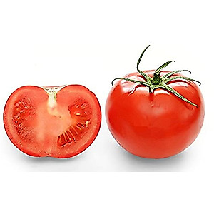 Dependable Industries inc. Essentials Set of 2 Piece Tomato Keeper Saver Container Server Keeps Cut Tomatoes Fresh Longer Odor Concealer Vegetable Holder BPA Free