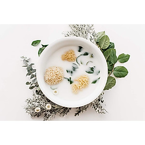 Kyte Baby Natural Sea Sponge, 4 to 5 Inches