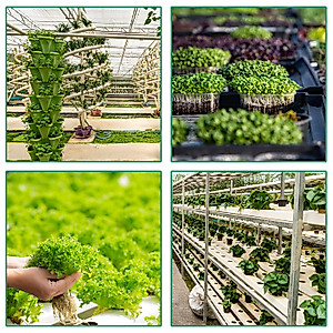 50pcs Grow Sponges, Replacement Grow Sponges Seed Root Growth Sponges for Planting Hydroponics Growing Sponge Compatible with Aerogardens Pod Sponges for Indoor Garden Hydroponics Growing System