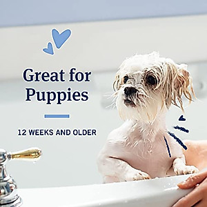 PetArmor Flea & Tick Protection Oatmeal Shampoo for Dogs, Hawaiian Ginger Scent, 18 oz