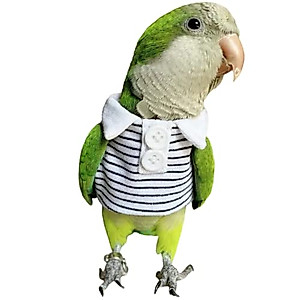 Bird Costume Bird Diaper Flight Suit Bird Summer Clothes Cosplay Photo Prop for Parrots Lovebird Parakeet Cockatiel Small Animals Apparel (Without Diaper,Budgie)
