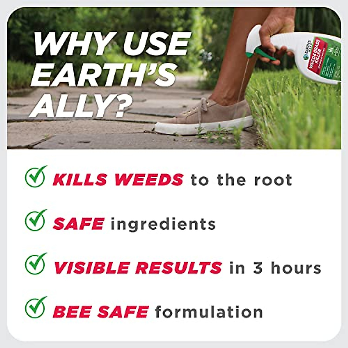 Earth's Ally Weed and Grass Killer | Safe, Pet-Friendly Natural Weed Control Spray for Patios, Driveways & Sidewalks, Ready-to-Use 24oz - Bee Safe, No Glyphosate Weed Killer