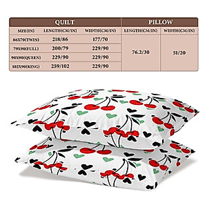 Delerain Comforter Set Queen Size, Red Cherry Print 3-Piece Bedding Set for Women Men Modern Soft Microfiber Bedroom Set Room Decor, 1 Duvet Cover + 2 Pillowcases
