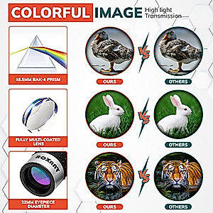 Roxant Monocular Telescope - High Definition Ultra Light Pocket Telescope - Includes Compact Monocular, Neck Strap & Cleaning Cloth, Monoculars for Adults, High Powered Handheld Telescope