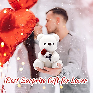Grekaida Valentines Day Gifts Teddy Bear Plush Stuffed Animal, Teddy Bears Stuffed Animals with Rose Gift for Her and Kids Stuffed Animals Toy Stuffed Animal Gifts Valentines Day Decor 10 Inch