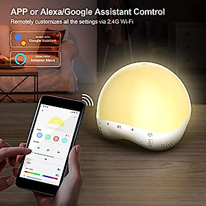 Baby Sound Machine Nursery Night Light White Noise Machine 25 Soothing Sounds Sleep Machine RGB Color Changing APP & Voice Control with Alexa Portable Lamp Timer Noise Machine Baby/Adults White