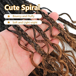 8 Packs Crochet Box Braids-14 Inch Boho Box Braids Crochet Braids Hair Bohomian Box Braid Crochet Hair Synthetic Braiding Hair Goddess Box Braids Crochet Hair for Black Women (1B/30/27)