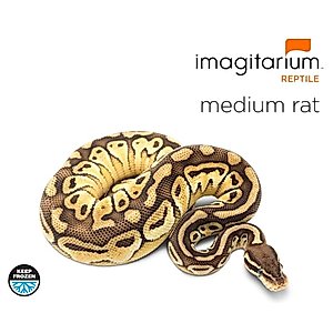 The Gourmet Rodent Frozen Medium Rat, Count of 10