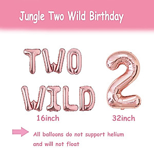 Two Wild Birthday Party Decorations, Jungle Themed Secend Girl Birthday Party Supplies Set Cute Animals Head Balloons and Two Wild Banner Caketoppers for Girls 2nd Jungle Birthday Decor