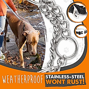 Martingale Collar, Training Dog Collar, Limited Cinch Chain Pet Gear for No Pull Dog Walking