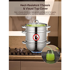 FOHERE 11Qt Steam Juicer Extractor for Canning, Juice Steamer Stainless Steel for Fruit & Vegetables with Glass Lid, Hose, Clamp, Loop Handles, Multipots Cookware for Making Juice, Jelly, Sauces