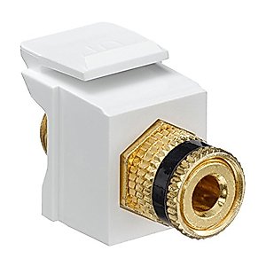 Leviton QuickPort Binding Post Snap-In Modular insert - White with Black Stripe