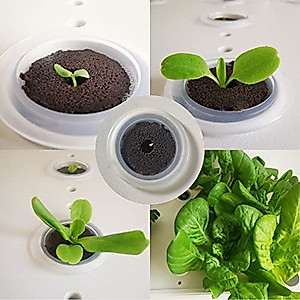 lukandafi Grow Sponges 100 Pack, Hydroponics Sponge Compatible with Aerogarden, iDOO