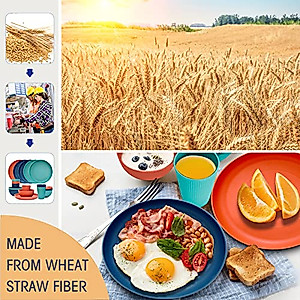 Dhnvcud 18-Piece Plates and Bowls Sets,Wheat Straw Dinnerware Sets for 6,Unbreakable Plastic Dinnerware Set,Reusable Plates,Bowls and Cups,Plastic Dishes Set for Kitchen,Outdoor Camping,RV