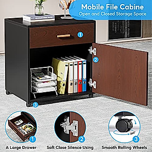 Tribesigns 70 Inches Executive Desk with File Cabinet, Large L Shaped Desk with Storage Cabinet, L Shaped Computer Desk with Drawer Cabinet, Dark Walnut