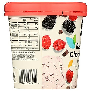 365 by Whole Foods Market, Ice Cream Raspberry Chocolate Chip, 16 Ounce