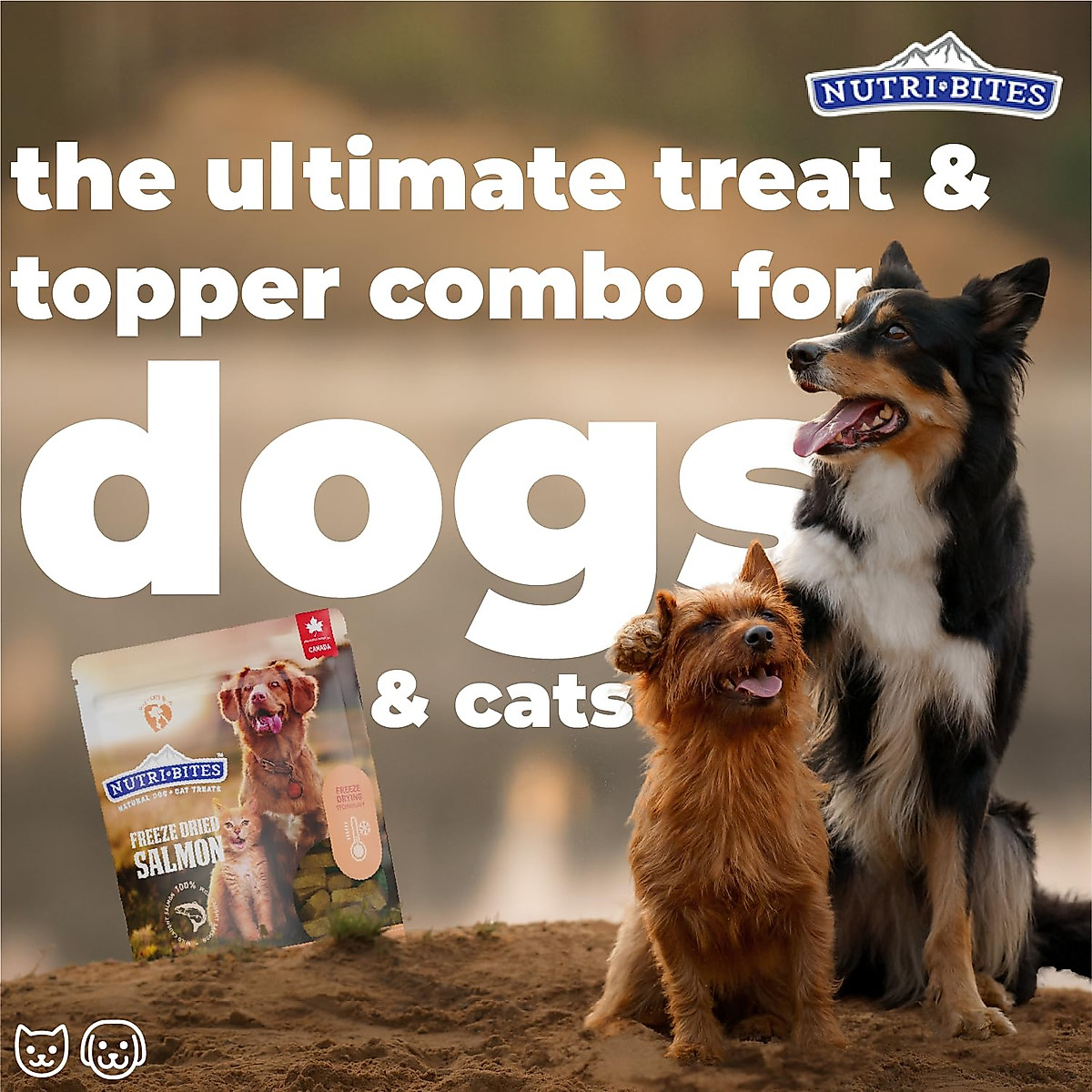 Nutri Bites Freeze Dried Salmon Dog Food 2-Pack: 28 oz Total Weight - Single Ingredient: Wild Salmon - Protein & Omega 3 Pet Supplement - Use as Kibble Topper or Dog Treats for Dogs - Made in Canada