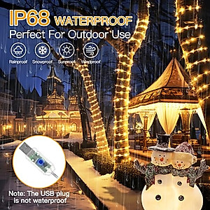 Ollny Rope Lights Outdoor Color Changing, 33FT 100 LED Waterproof Christmas Lights with Remote, 16 Colors Fairy Rope Light for Indoor Bedroom Party Garden Wedding Holiday Decorations