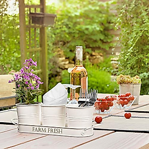 Herb Pots with Tray Set, Indoor Herb Planter, Farmhouse Inspired Decorative Herb Garden Planter with Drain Holes for Healthy Plants, Ideal for Indoor Windowsill