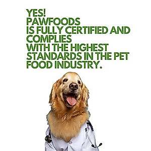 PawFoods Organic Dog Treats Fruity Paws & Salmon - Healthy, Low Calorie, Joint Support, Shiny Coat, Omega 3 & 6, Tasty Puppy Treats for All Dogs, Only 5 Cal, 60 Treats Per Bag - 170g, Made in USA