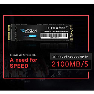 Dataram 1TB M.2 M-Key PCIe NVMe SSD for 2013-16 MacBook, Mac Pro, Air, Mini, iMac