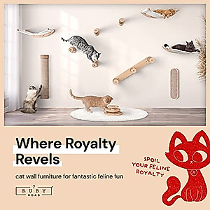 7 Ruby Road Cat Hammock Wall Mounted Cat Shelf with Two Steps - Cat Wall Shelves and Perches for Sleeping, Playing, Climbing, and Lounging - Modern Cat Bed & Furniture for Large Cats or Kitty