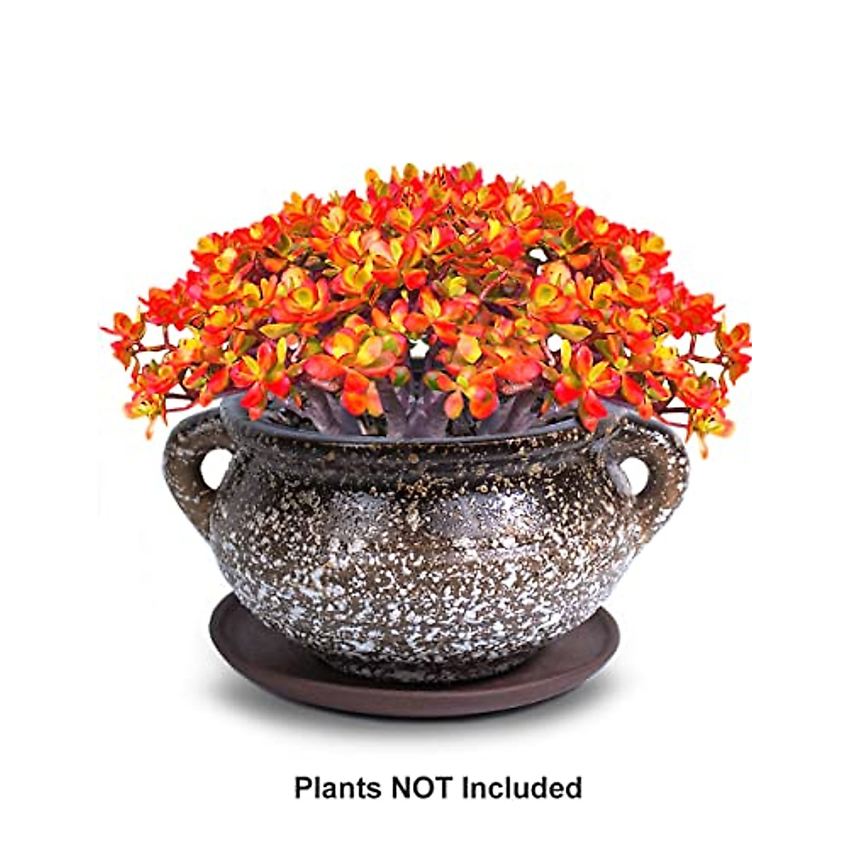 Dahlia Vintage Speckle Ceramic Succulent Planter/Plant Pot/Flower Pot/Bonsai Pot, C