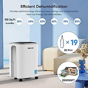 2500 Sq. Ft 30 Pint Dehumidifier, COLAZE DH01 Energy Star Dehumidifiers with Drain Hose for Home Basement Bedroom Bathroom, Auto Defrost & Overflow & Timer & Dry Function with 0.66 Gal Bucket