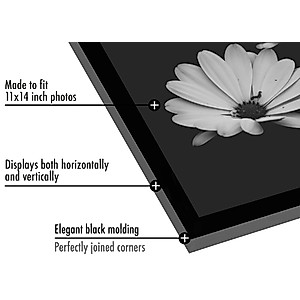 Americanflat 11x14 Picture Frame with Polished Plexiglass - Set of 5 - Galleria Collection - Gallery Wall Frame Set for Wall Display - Black
