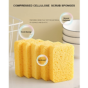 METUUTER 12-Count Cleaning Scrub Sponge- Compressed Cellulose Sponges Non-Scratch Natural Sponge for Kitchen Bathroom Cars, Funny Cut-Outs DIY