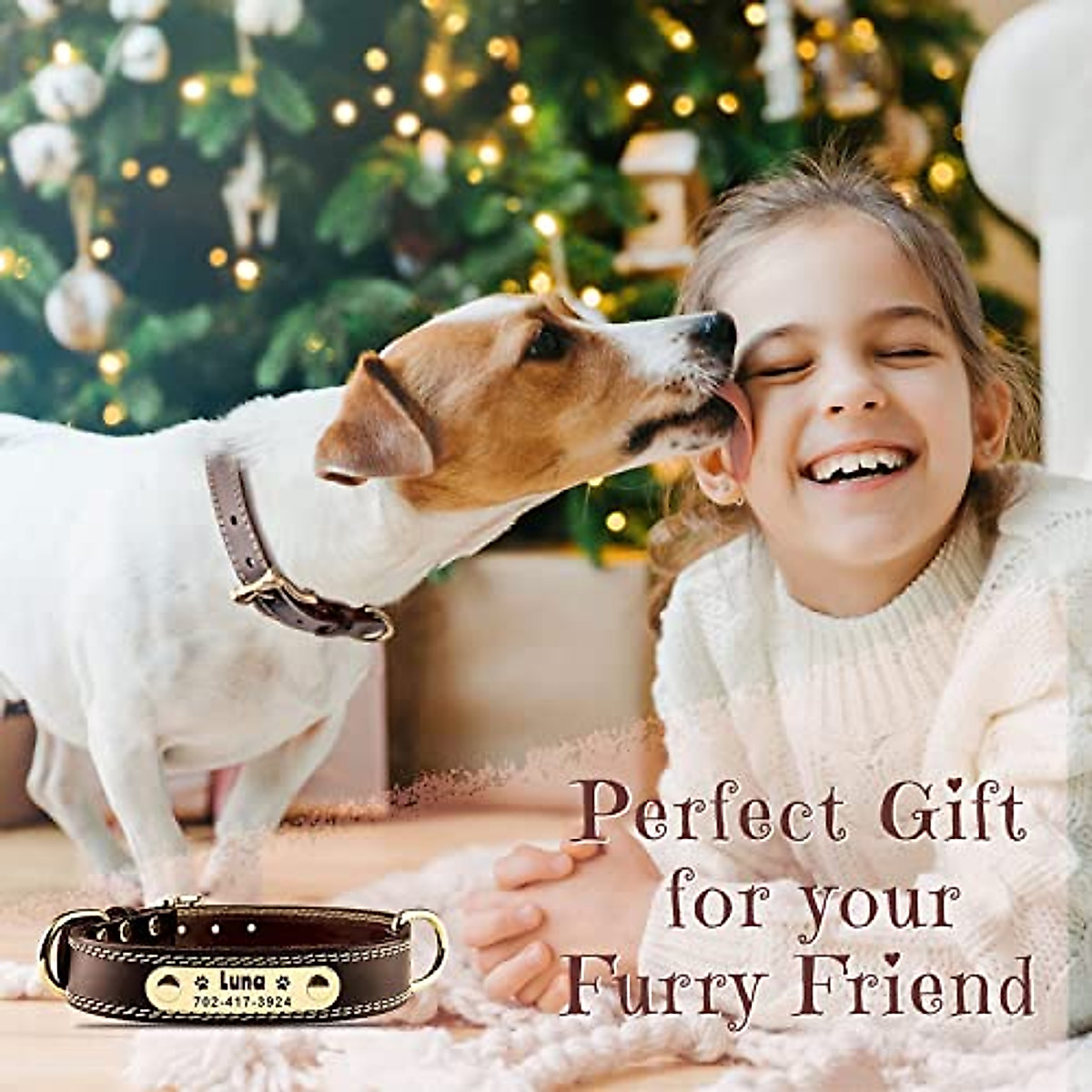 Personalized Dog Collar - Custom Leather Dog Collar with Engravable Nameplate - Durable Name Tag Collar - Customizable Dog Collar - Comfortable ID Collars for Small, Medium, Large Dogs (Small)