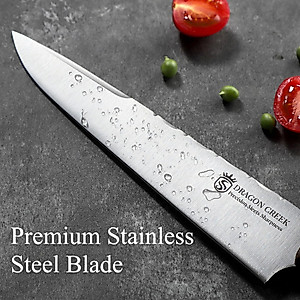 Dragon Creek 8.5" Boning Knife for Meat Cutting Japanese Brisket Slicing Trimming Vegetables Knife Razor Sharp Hand Forged Full Tang Deboning Fillet Gyutou Knife Gift Idea