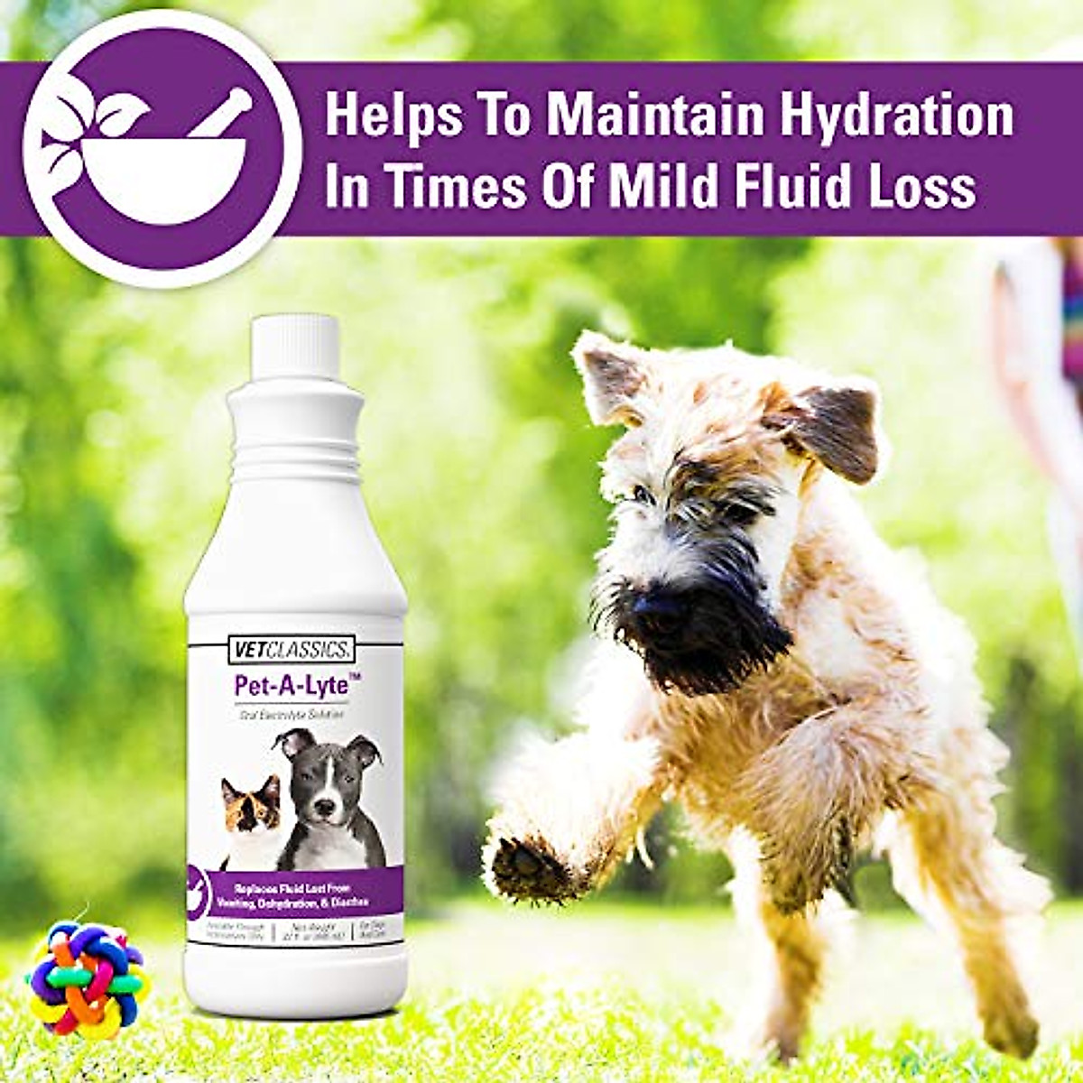 Vet Classics Pet-A-Lyte Oral Electrolyte Solution for Dogs and Cats – Helps Replace Fluids Lost From Pet Dehydration, Diarrhea, Vomiting – Replaces Dog Electrolytes – 32 Oz.