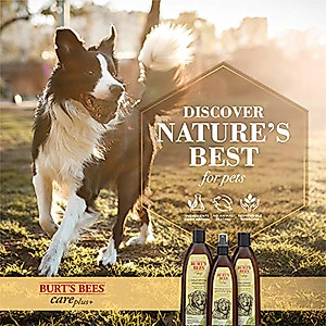 Burt's Bees for Pets Care Plus+ Natural Leave-In Conditioner Spray With Avocado & Olive Oil | Shine Spray for Dogs | Cruelty Free, Sulfate & Paraben Free, pH Balanced for Dogs - Made in USA, 12 Oz