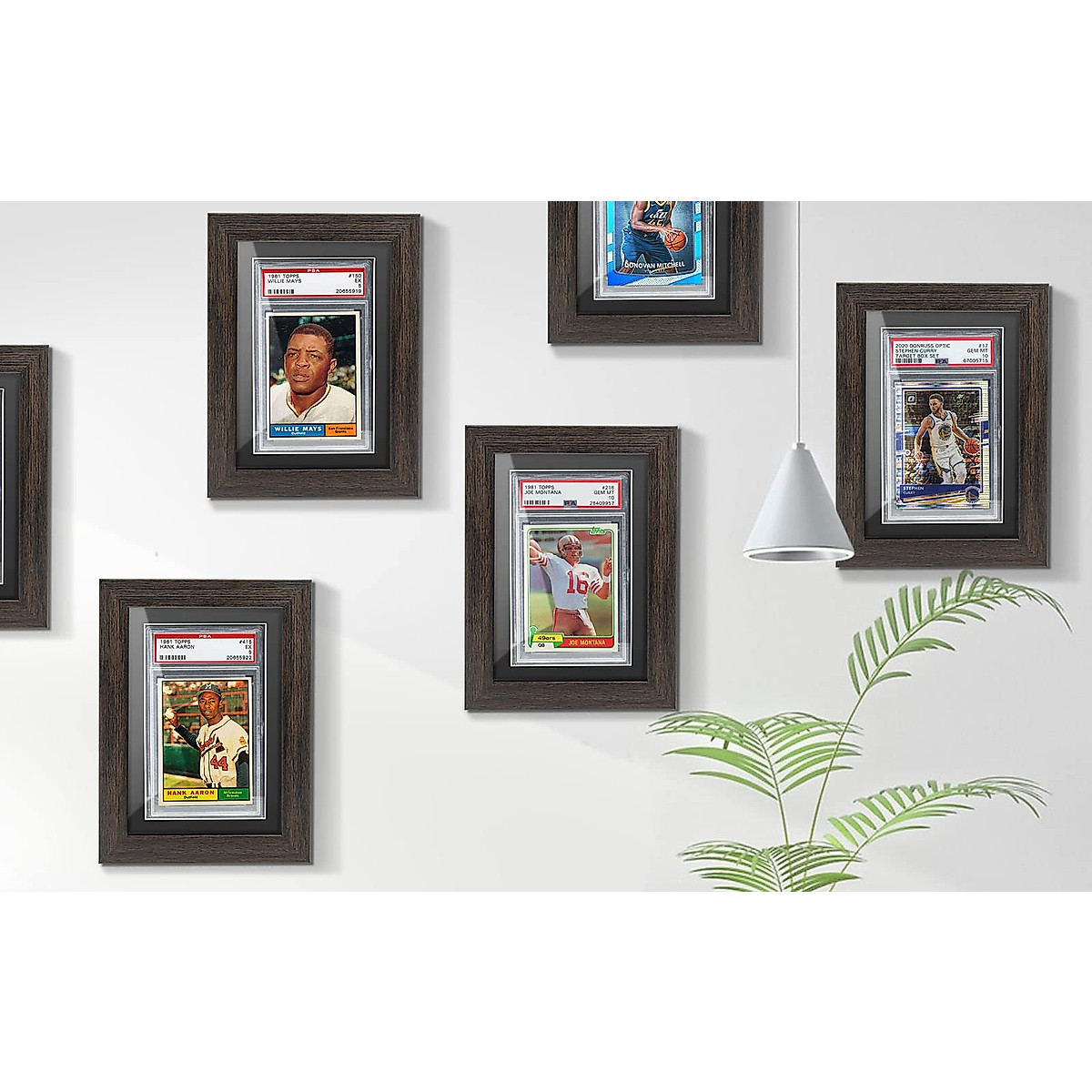 tutata PSA Graded Card Display Frame, Walnut Frame for PSA Card, Sport Card Display Case